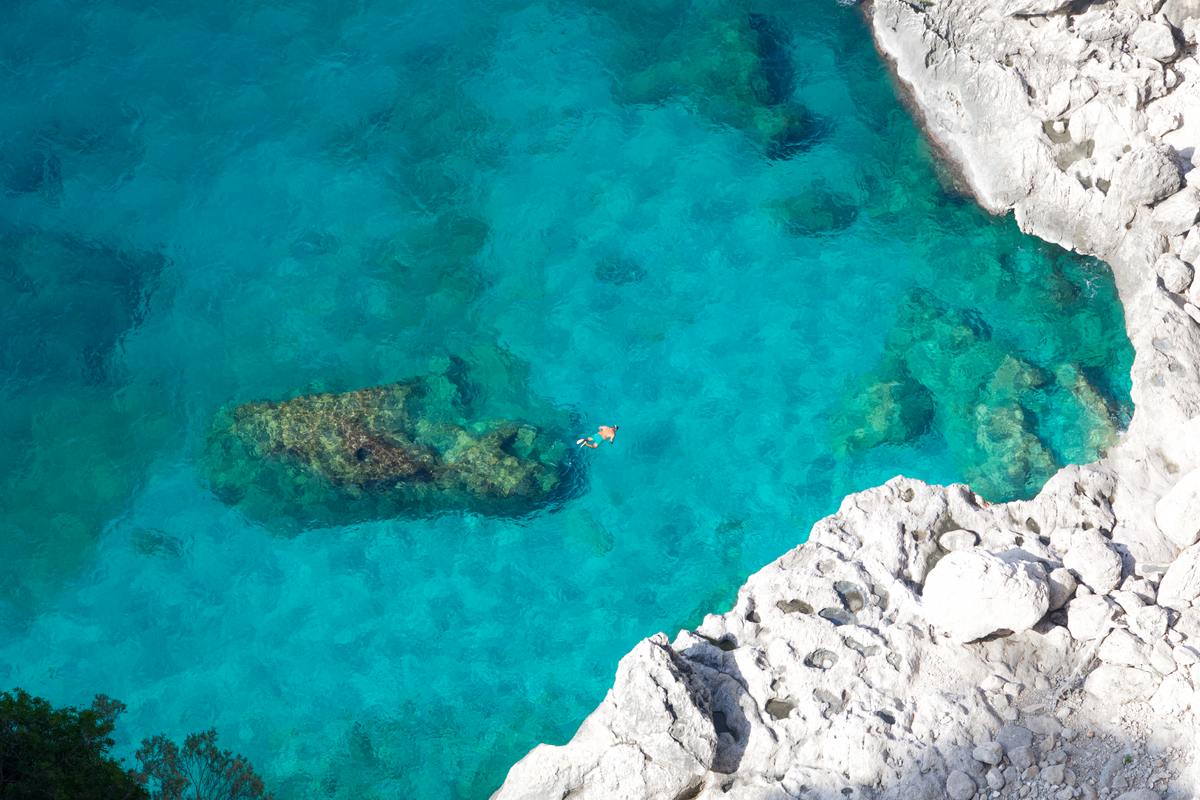 All Prints – The Harper Collective